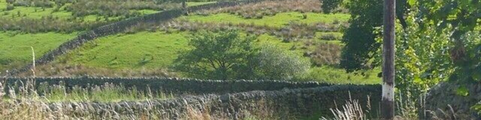Track near Lower Sheepwash This leads to the farm at Upper Sheepwash, and is a public footpath.