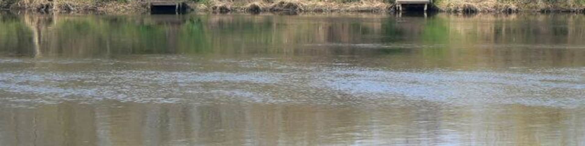 Fishing platforms on the River Trent No activity on this visit!