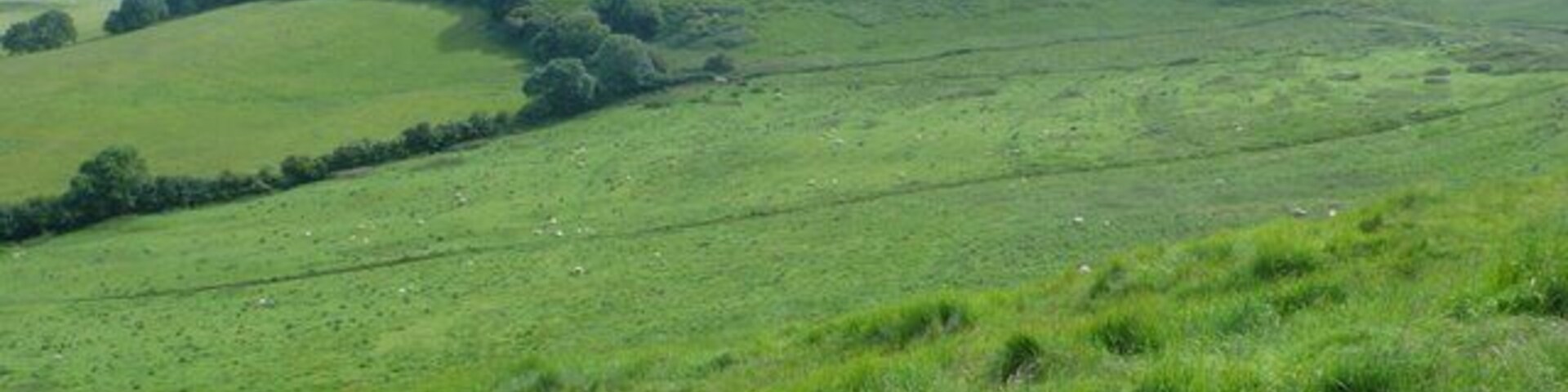 Uma encosta verde e ondulada com uma cerca ao longo do topo.