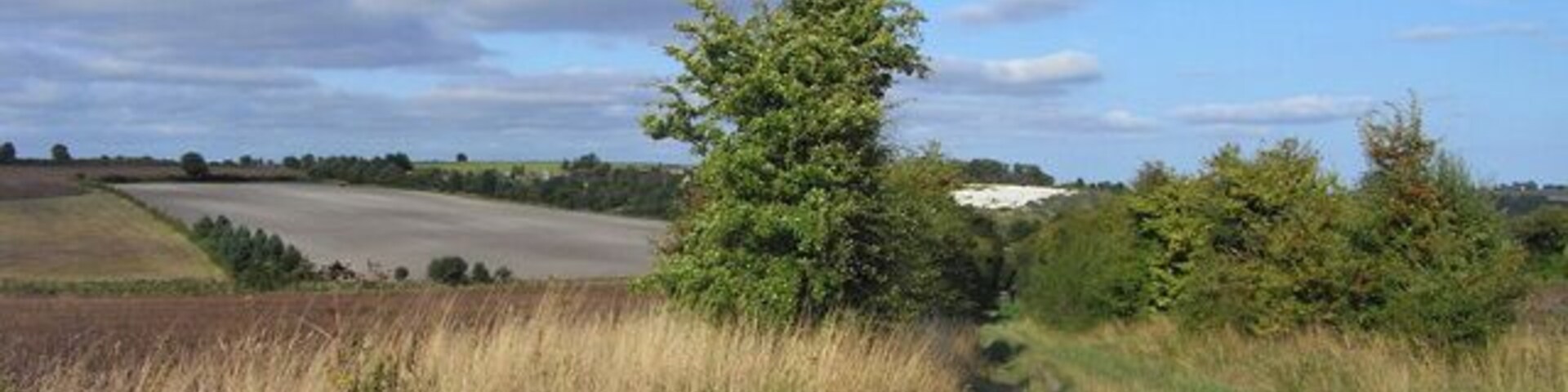 Green Road, Childrey The byway is on the parish boundary with Childrey to its left and Letcombe Bassett to the right. Arable fields are to either side with a chalk-pit visible ahead.