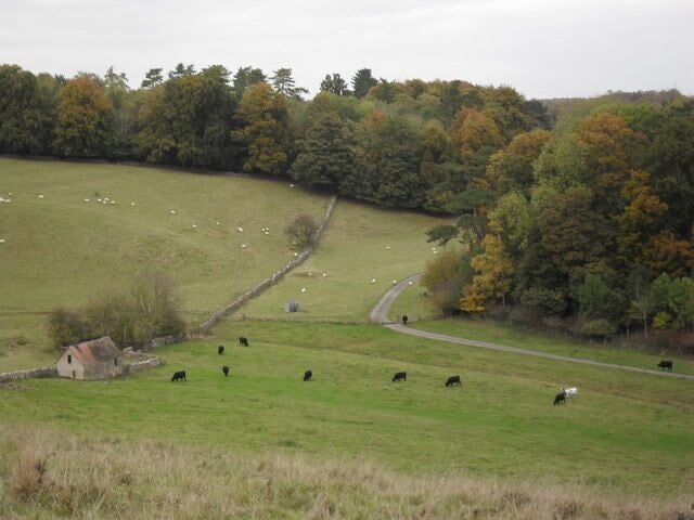 Paisagem rural com ovelhas e vacas pastando, uma estrada sinuosa e um muro de pedra.