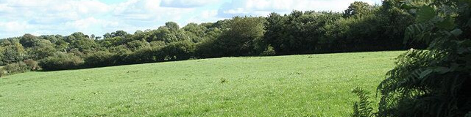 Um campo gramado com uma fileira de árvores ao fundo sob um céu parcialmente nublado.