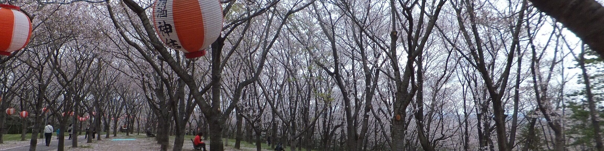 播磨中央公園(2013年4月7日)