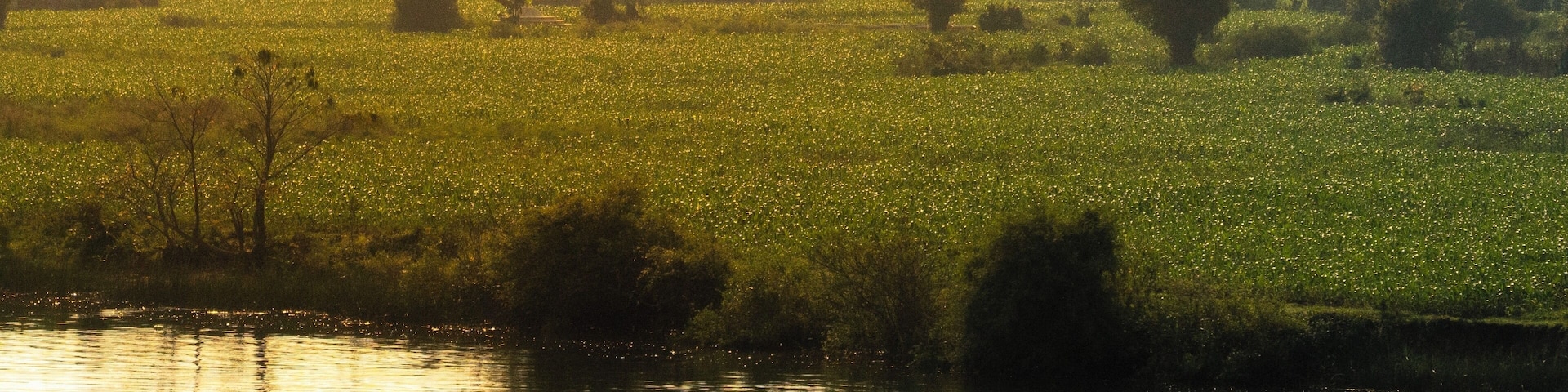 Morning shot taken from a moving train traveling north from south in Vietnam