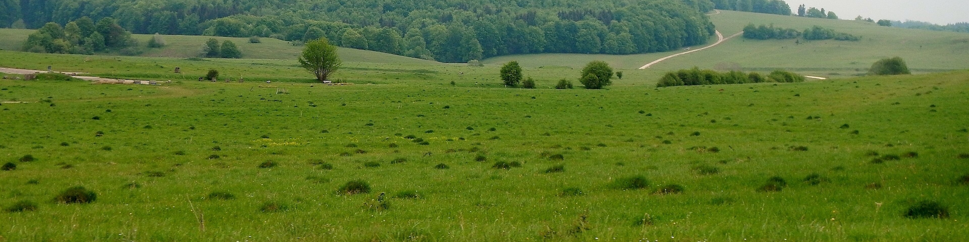 Herzstück des Biosphärengebiets der schwäbischen Alb: Der ehemalige Truppenübungsplatz Münsingen im sogenannten Münsinger Hardt