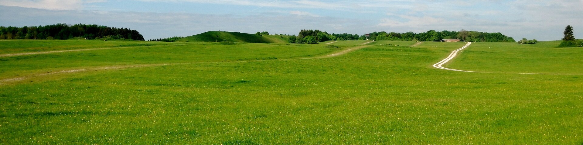 Herzstück des Biosphärengebiets der schwäbischen Alb: Der ehemalige Truppenübungsplatz Münsingen im sogenannten Münsinger Hardt