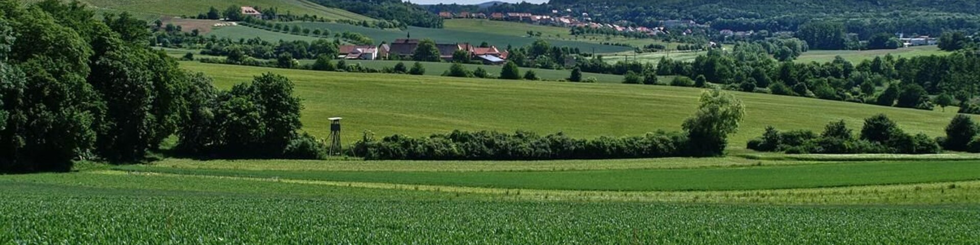 Elfinger Hof und Maulbronn 1