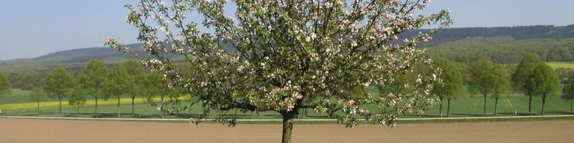 Vorwohle, Blick auf B64