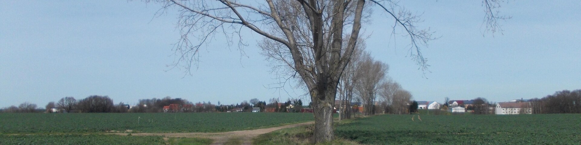 Path from Grossmecka to Mockzig (Altenburg, Thuringia)