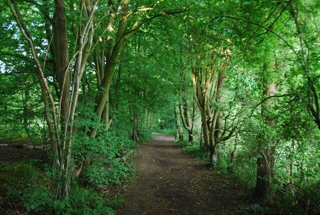 Bridleway along the southern edge of Dene Park (3)
