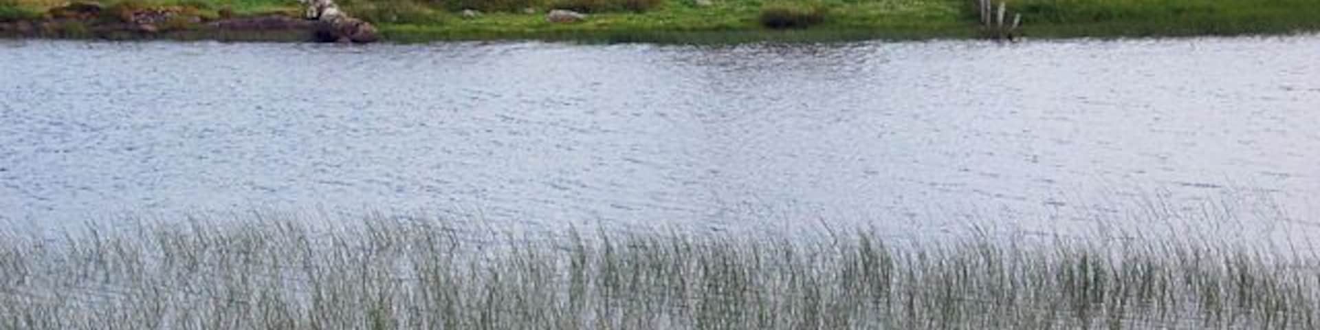 Ruin on shore of Loch na Bagh, South Uist Another ruined house in South Uist. This part of the island is patterned with long strips of croft land.