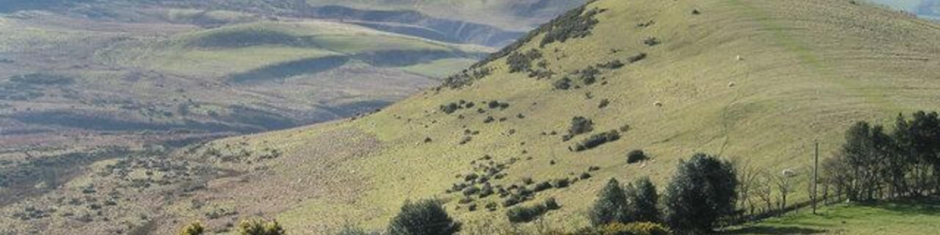Rorrington Hill from Castle Ring hill fort The distant hill on the left is Corndon Hill