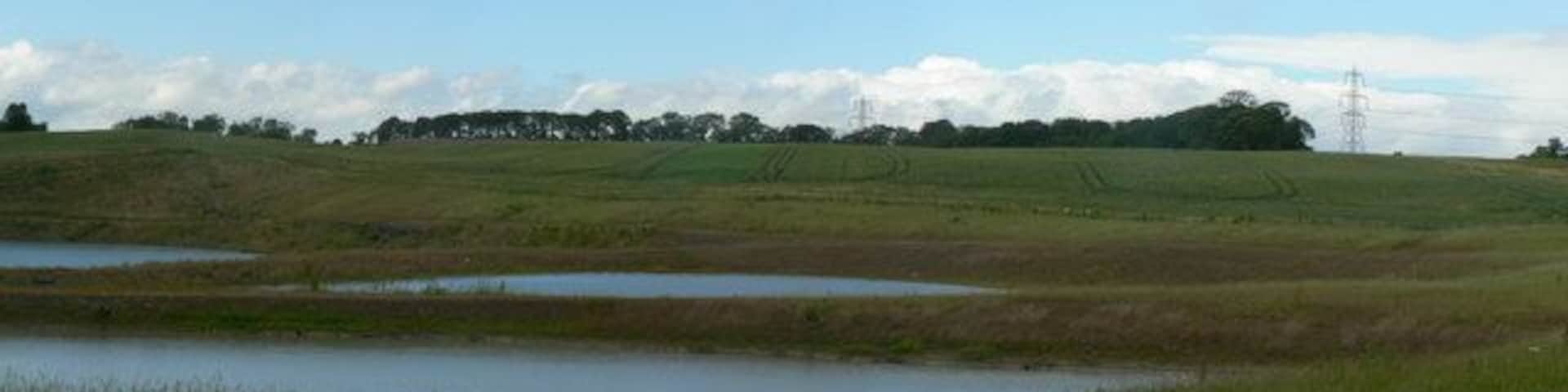 New ponds, Newland. You won't find these on the OS Map, or Google Earth. This area was extensively mined with opencast collieries, and clay workings for brick making. It is now being reclaimed, partly by landfill with Wakefield's rubbish. These ponds are approximately on the site of the brickworks shown on the OS map.