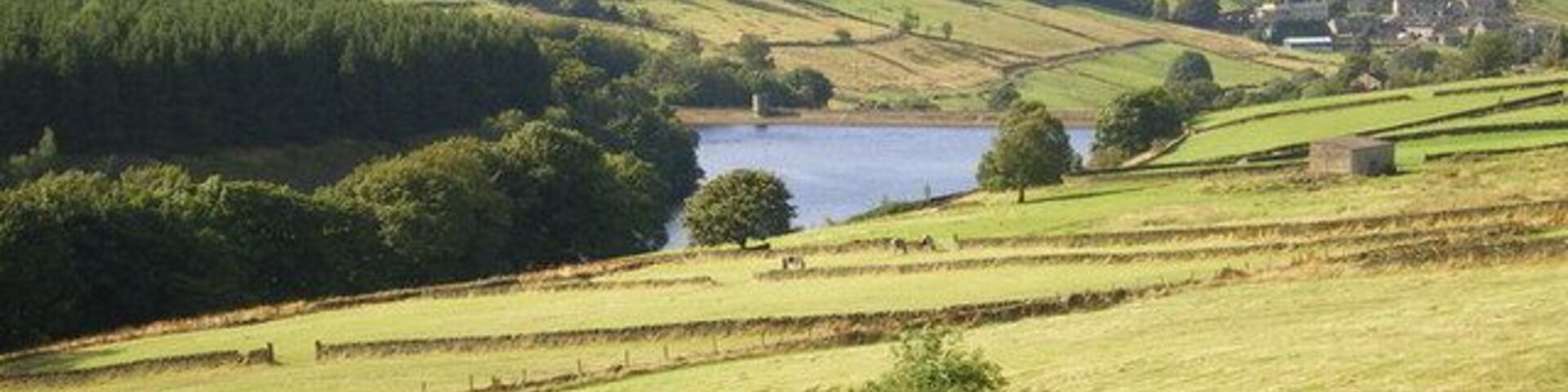 Holmes Styes Reservoir Looking NW from Long Ing Road towards Holmes Styes Reservoir