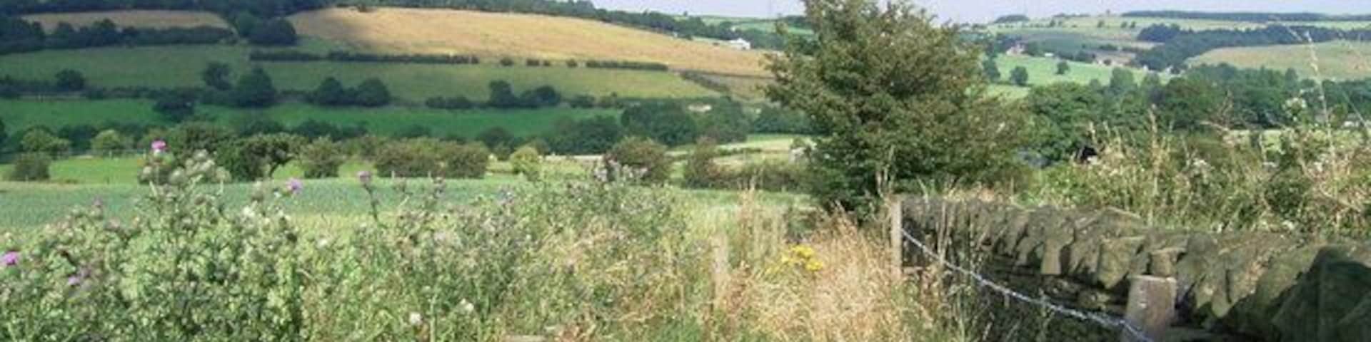 Footpath to Lascelles Hall Looking back to Houses Hill