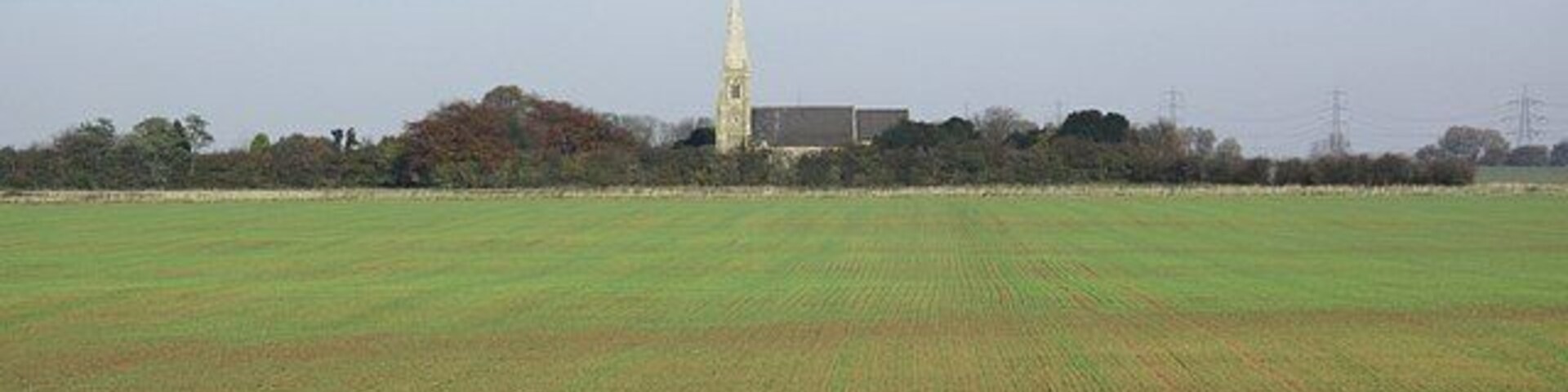 Luddington farmland Recently planted cereal crop at Luddington with St.Oswald's church in trees beyond