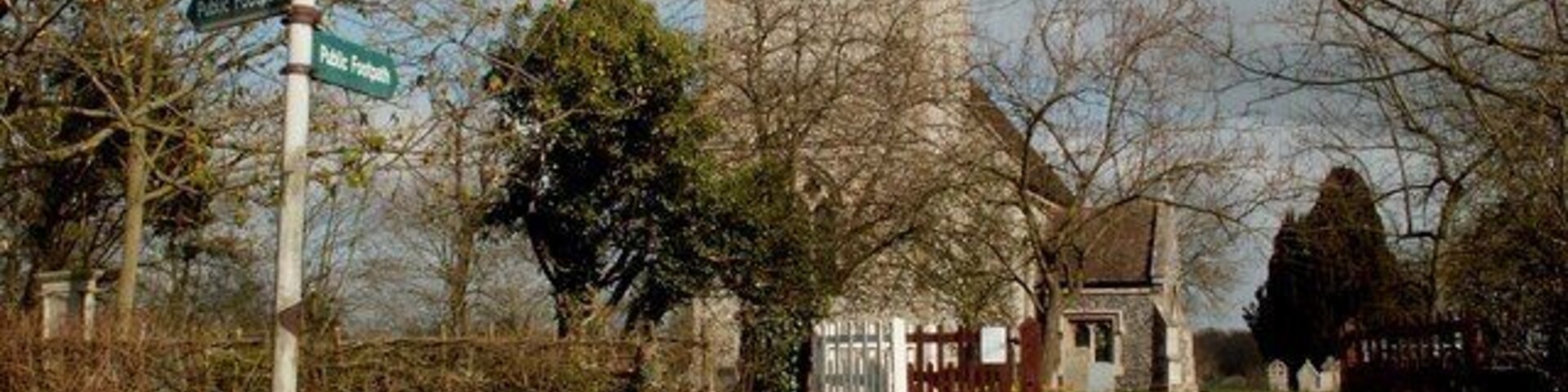 Uma estrada rural que leva a uma igreja de pedra com uma torre, cercada por árvores e narcisos.