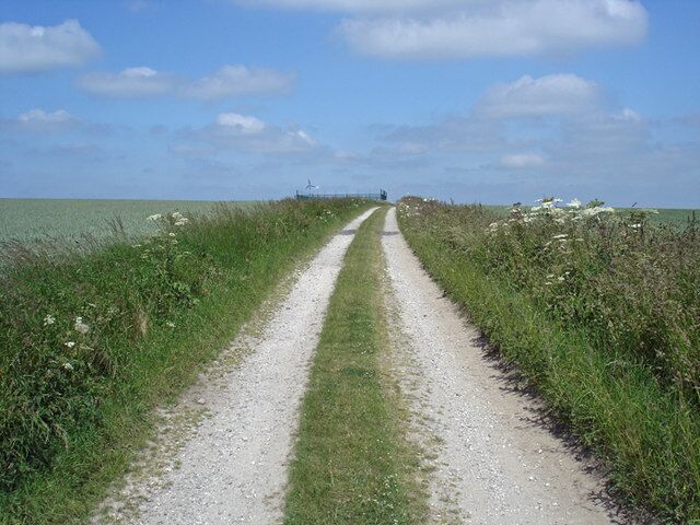 Um caminho de cascalho leva a uma construção distante, cercada por campos gramados e flores brancas.