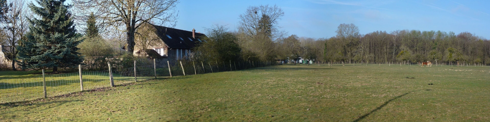 Pré à côté de Maison Rouge à Gretz-Armainvilliers (1)
