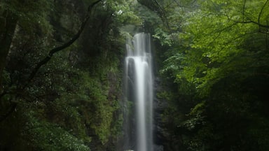 Uma cascata cercada por uma floresta verdejante.