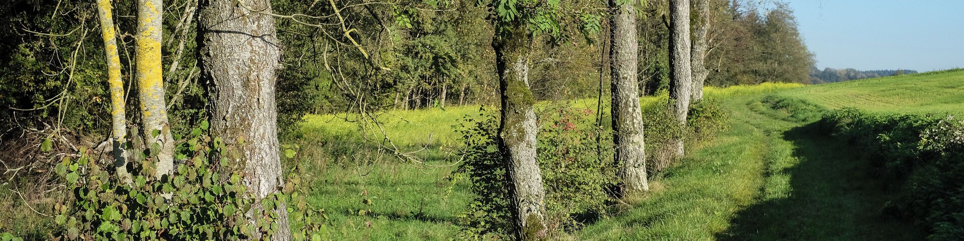 Deggenhausertal, district Bodenseekreis, Baden-Württemberg, Germany
