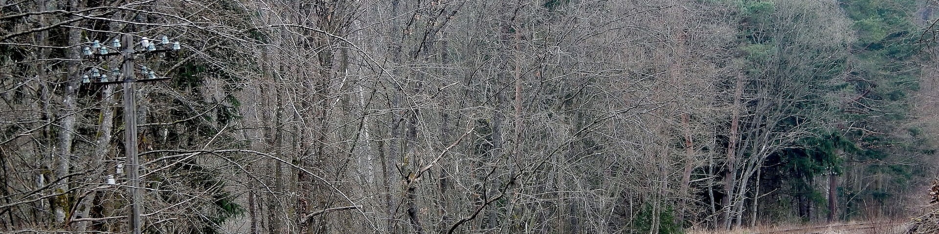 Hermann-Hesse-Bahn, S-Bahn Fertigstellung spätestens 2019 geplant , ehemalig: Württembergische Schwarzwaldbahn, Stuttgart Calw, eröffnet 1872, eingestellt 1983