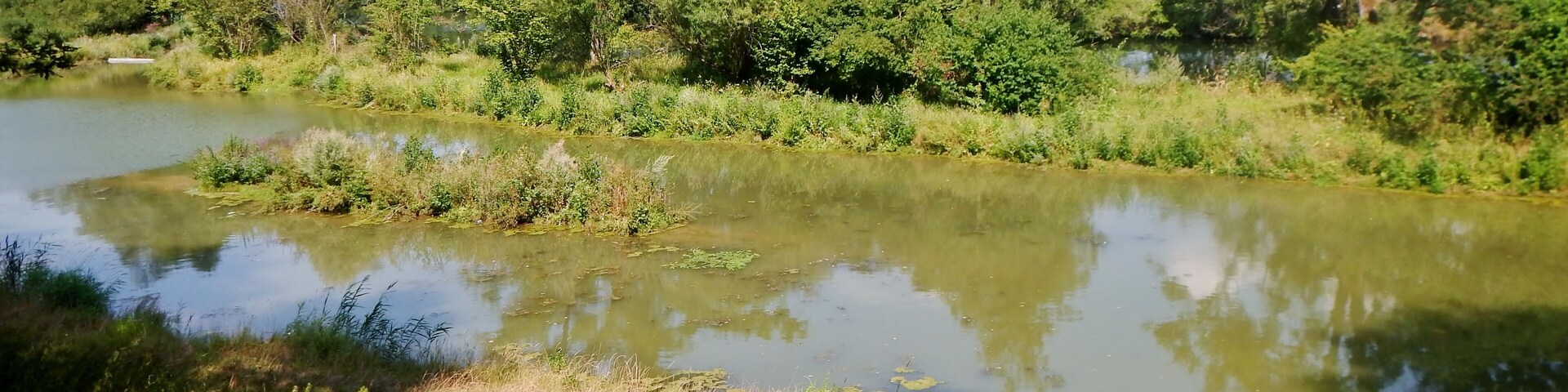 Die Jagst bei Möckmühl