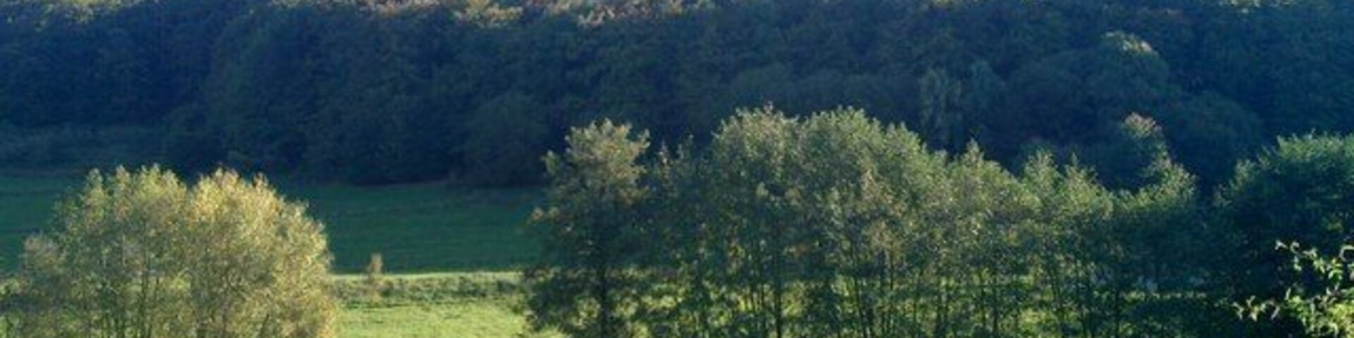 Landschaft bei Oberlemp