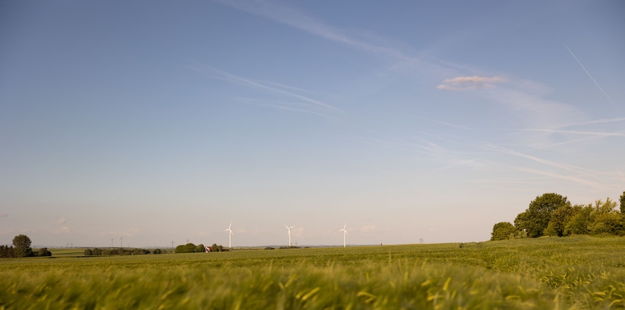 Campo com turbinas eólicas ao longe sob um céu limpo.