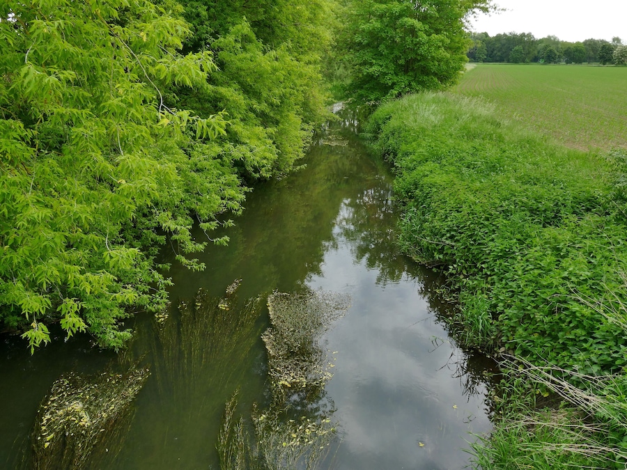 Um rio estreito rodeado por vegetação verde densa e um campo.