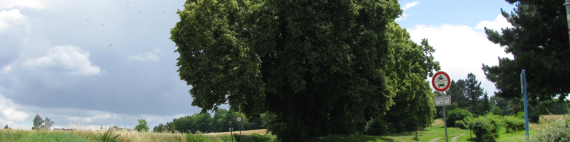 Beginn des Aufstiegs zur Kreuzbergkapelle