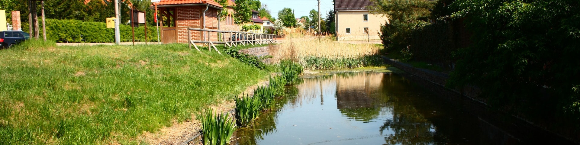 der Dorfteich von Deutleben