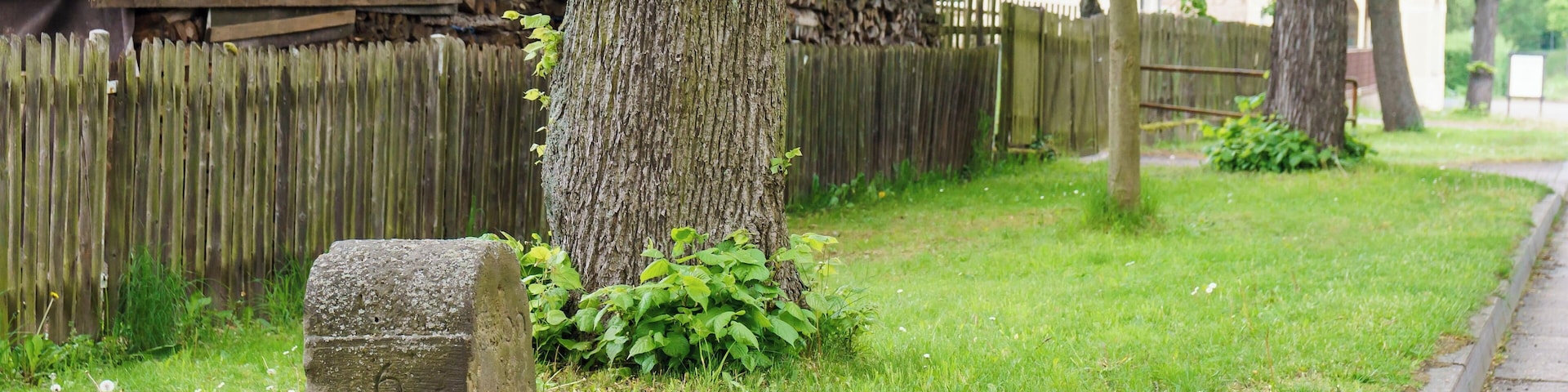 This media shows the protected monument of Saxony with the ID 08974414 KDSa/08974414(other).