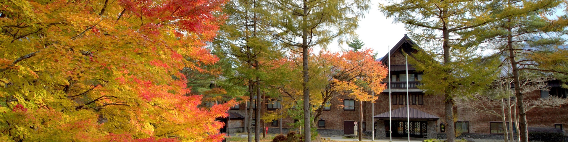 Hibara, Kitashiobara, Yama District, Fukushima Prefecture 966-0400, Japan