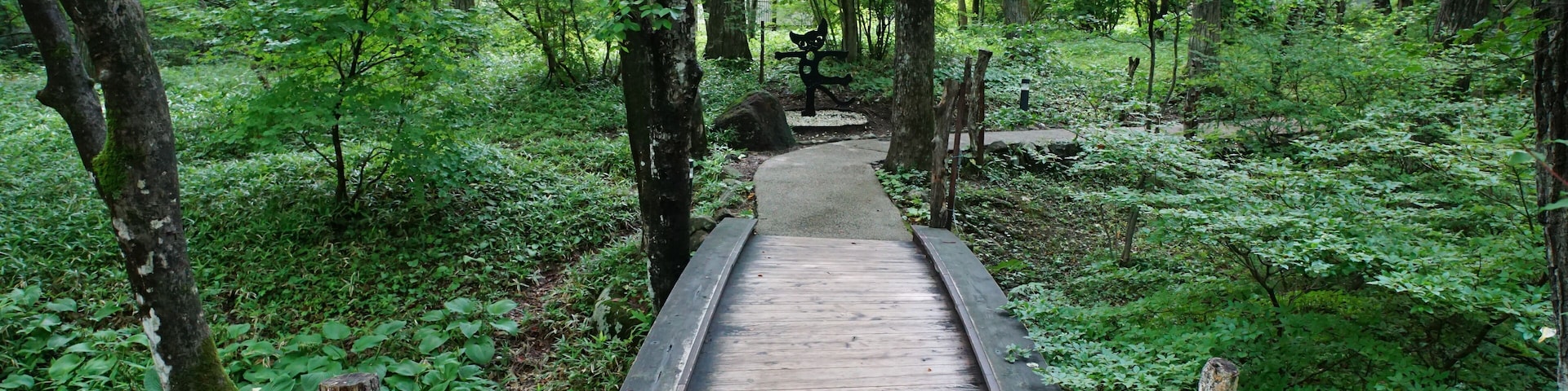 This is a complete original image ( no retouch, and no re-compression ).