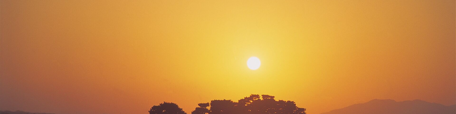 「島根県 宍道湖」FIND/47プロジェクトより