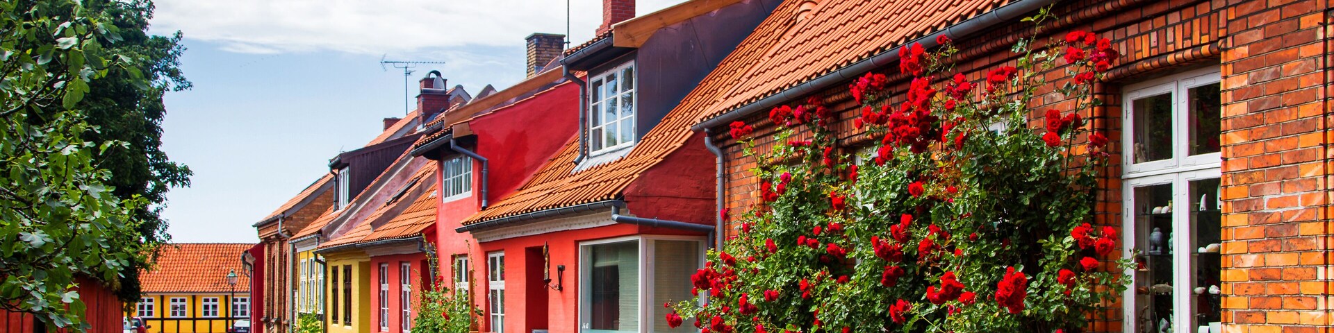 Uma rua de paralelepípedos ladeada por casas coloridas, flores vermelhas e um céu claro.