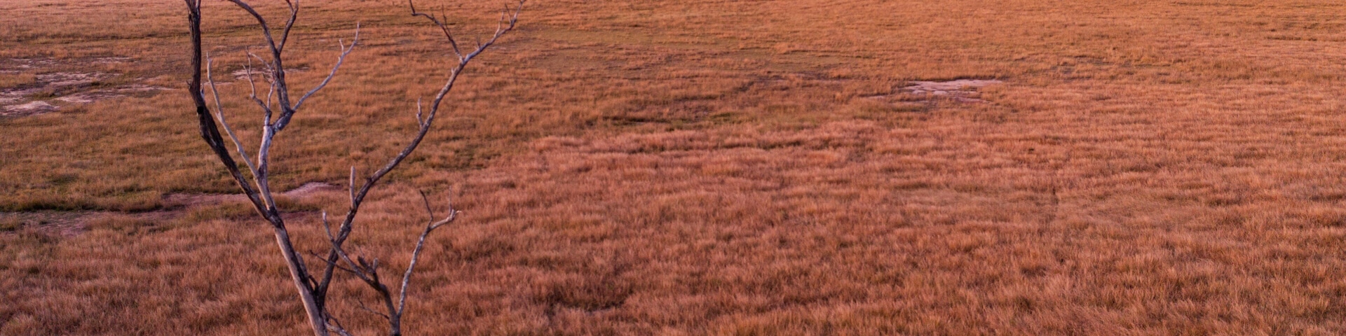 Capricorn Coast featuring tranquil scenes and a sunset