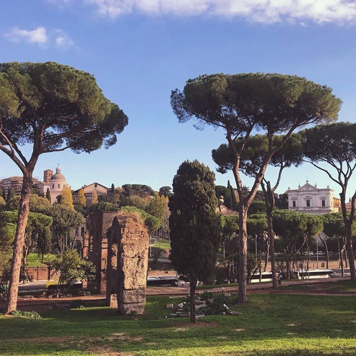 Um parque com ruínas antigas, árvores grandes e edifícios históricos ao fundo.