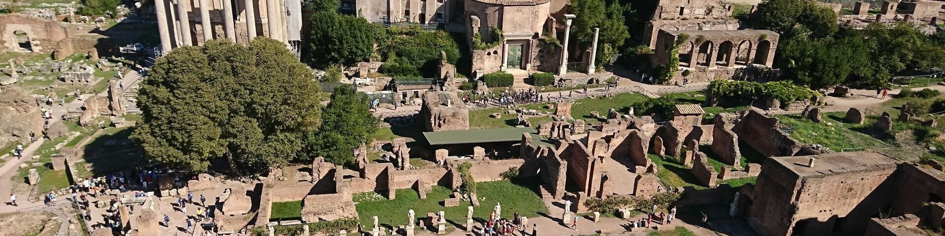Um antigo sítio arqueológico romano com ruínas, incluindo uma grande árvore, um templo e um aqueduto.