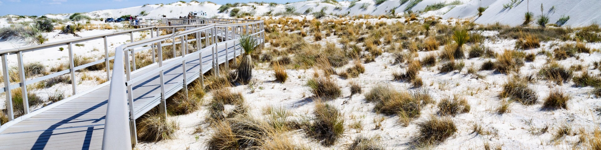Um calçadão serpenteando por uma paisagem de dunas com vegetação esparsa.