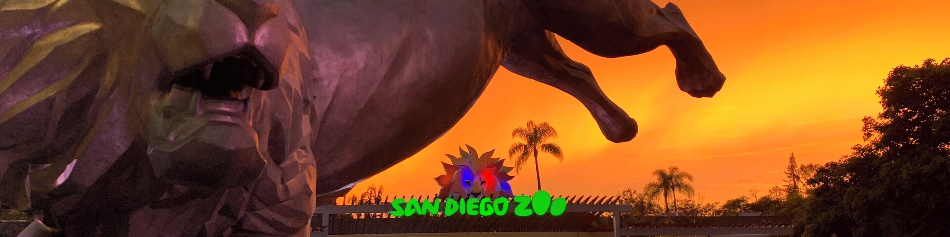 Night time zoo! Open late mid June to September. #localsbeingtourists #lifeatexpedia