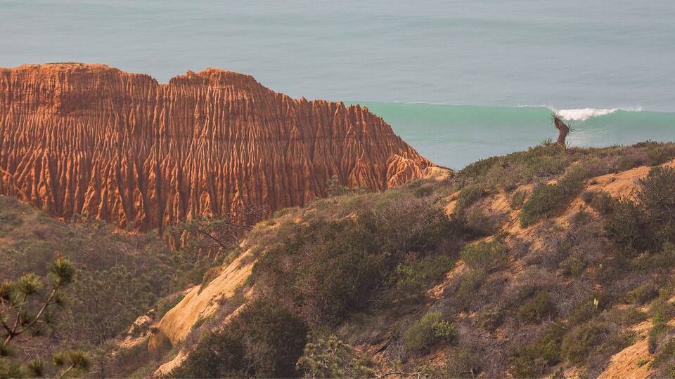 Just near the golf course is Torrey Pines which offers the best views San Diego has to offer. These are many marked trails that lead to the beach or around the huge cliffs. You will want to make sure your cameras are charged up before making your hike. So come out and explore Torrey Pines!