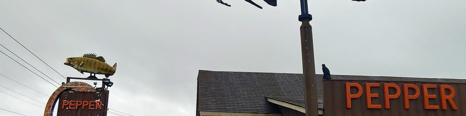 A couple of giant fish remain at a shuttered tackle and bait shop on the outskirts of Louisville.