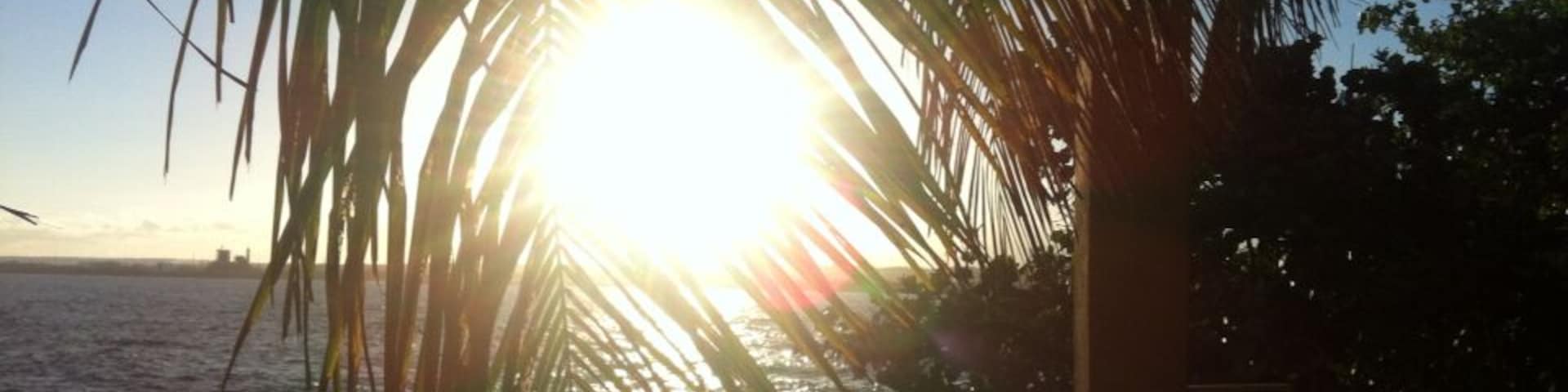 Palmeras y sol ❤️