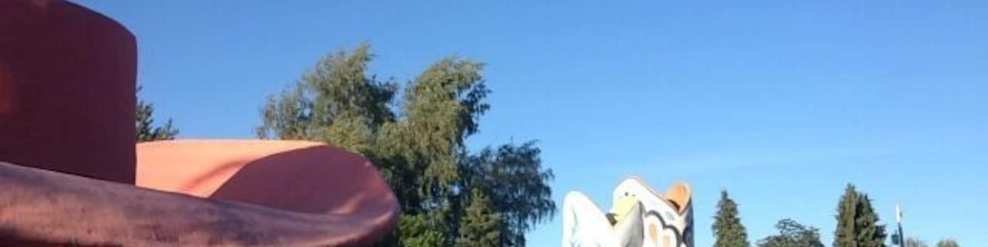 Hat, boots & airplanes in Oxbow park. Also has a play structure, nice grass and a p-patch.