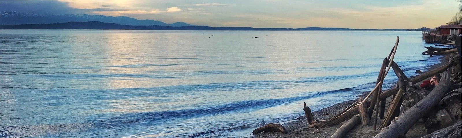 Lincoln Park, West Seattle • 2018 #LifeAtExpedia #beaches