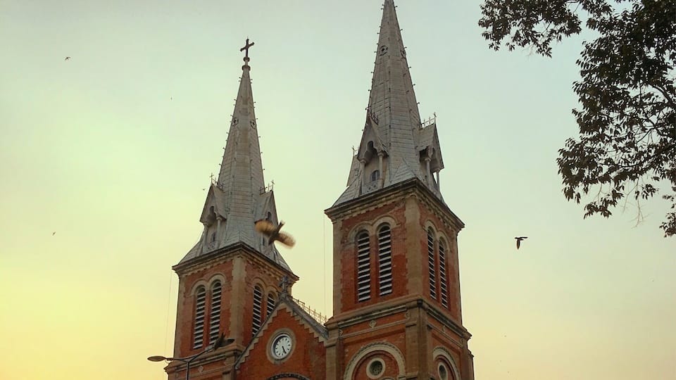 The less famous Notre Dame... in Ho Chi Minh City ⛪️
#hochiminhcity #vietnam #notredame #church #architecture