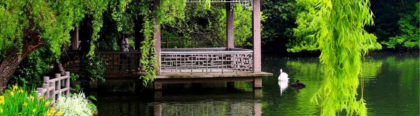 A little lake zen in the middle of the Shanghai Zoo!!