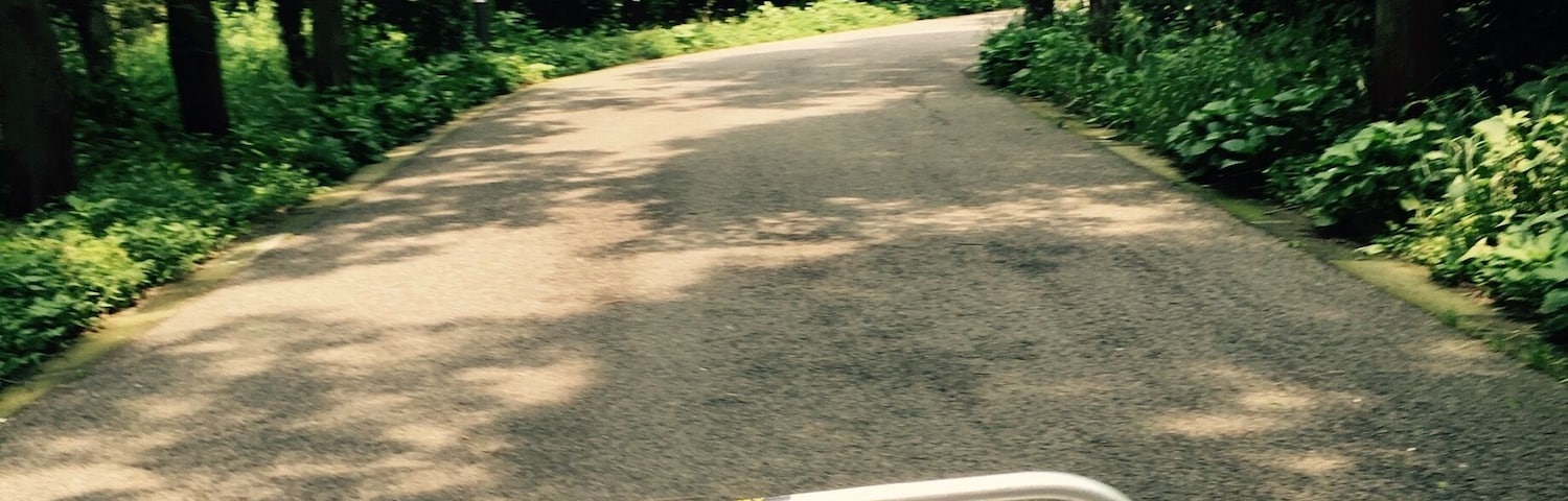 Riding through the forest @ Chongming